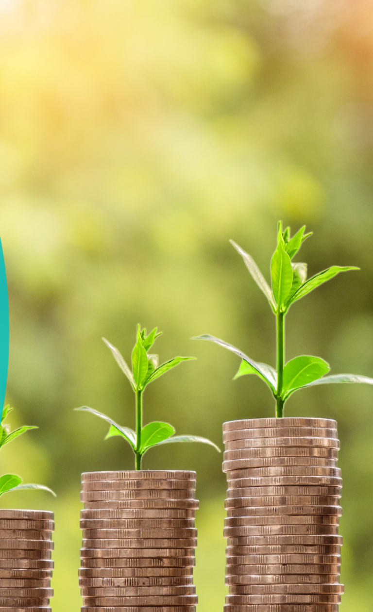 Board Development Agency