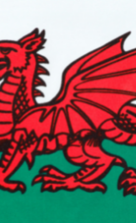 Board Development Agency